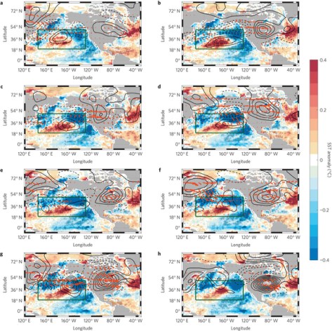 Pacific Extreme Pattern | Home